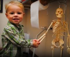 Dr. Peter Wass, Chiropractor - Rehabilitation Chiropractors - Health4You